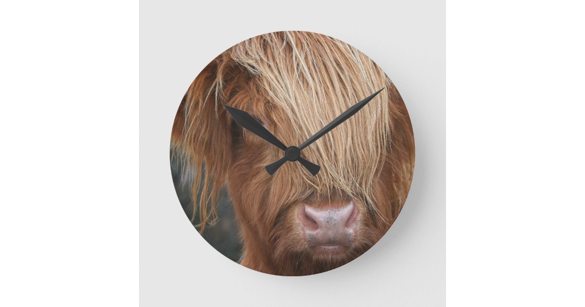 Scottish Highland Cows - Scotland Round Clock | Zazzle