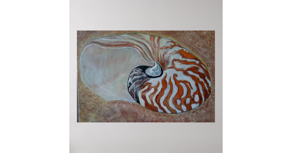 sea shell nautilus poster | Zazzle
