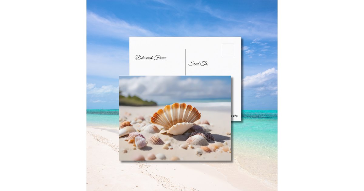 Sea shells on the beach postcard | Zazzle