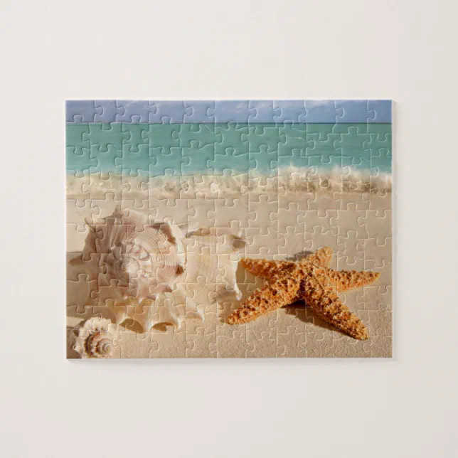 Seashell seastar at the beach jigsaw puzzle | Zazzle