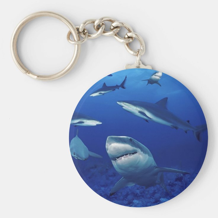 Sharks Keychain | Zazzle