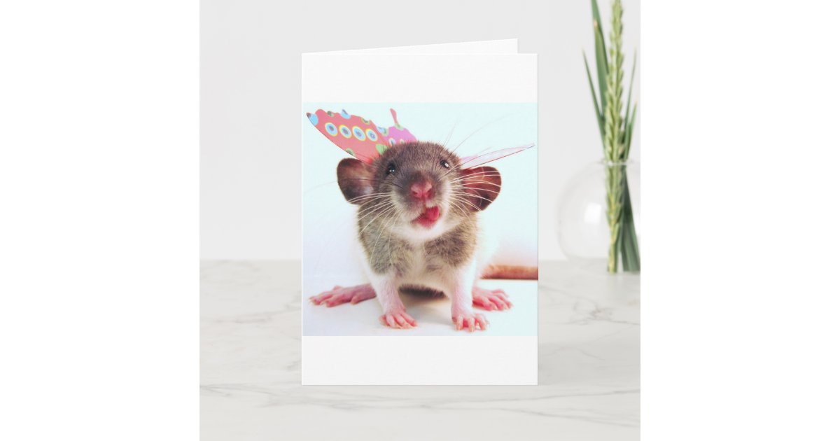 Silly Flutterby Rat Card | Zazzle
