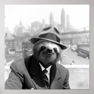 Sloth Posters | Zazzle.com.au