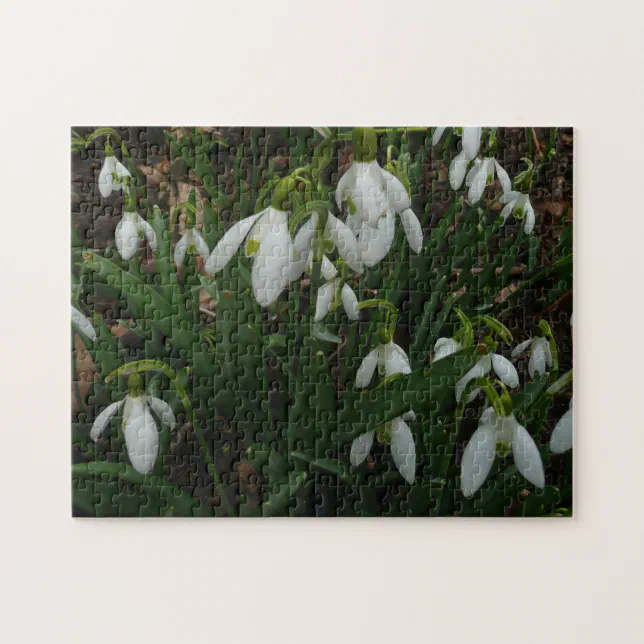 Snowdrops I (Galanthus) White Spring Flowers Jigsaw Puzzle | Zazzle