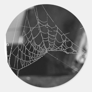 Spider Stickers | Zazzle AU