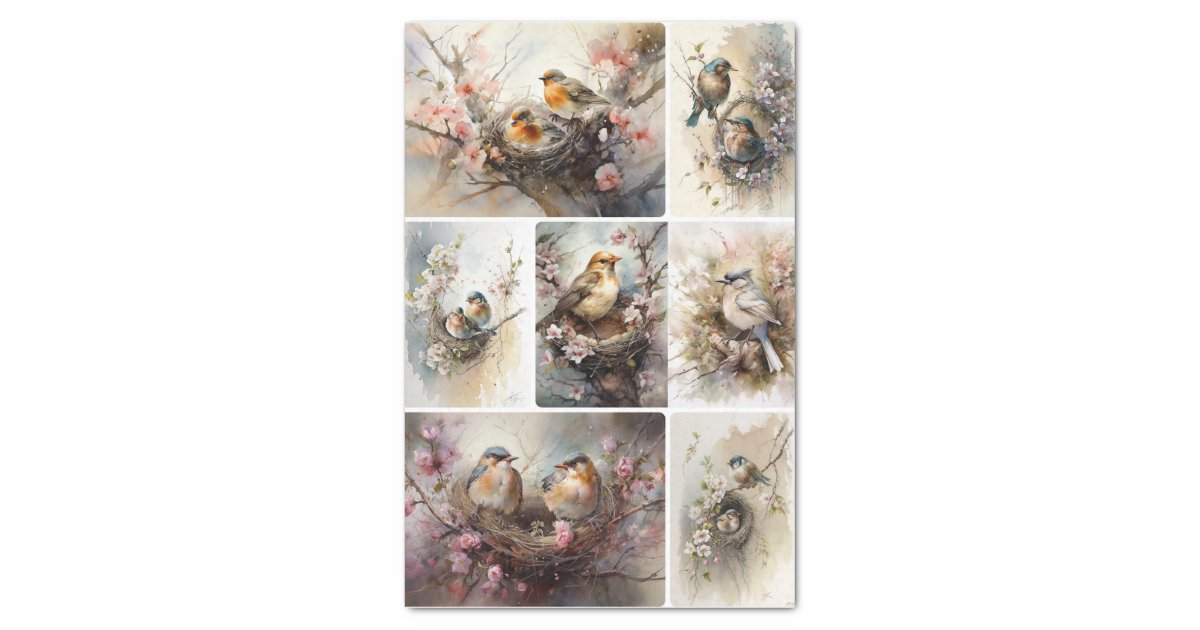 Spring Birds Tissue Paper | Zazzle