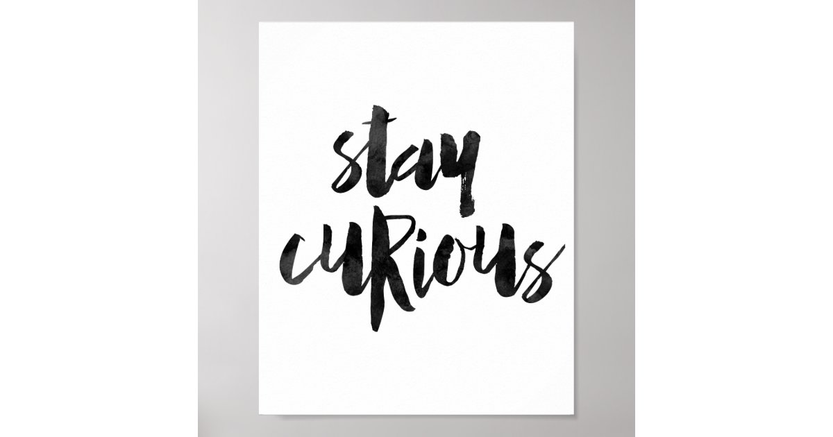 Stay Curious Poster | Zazzle