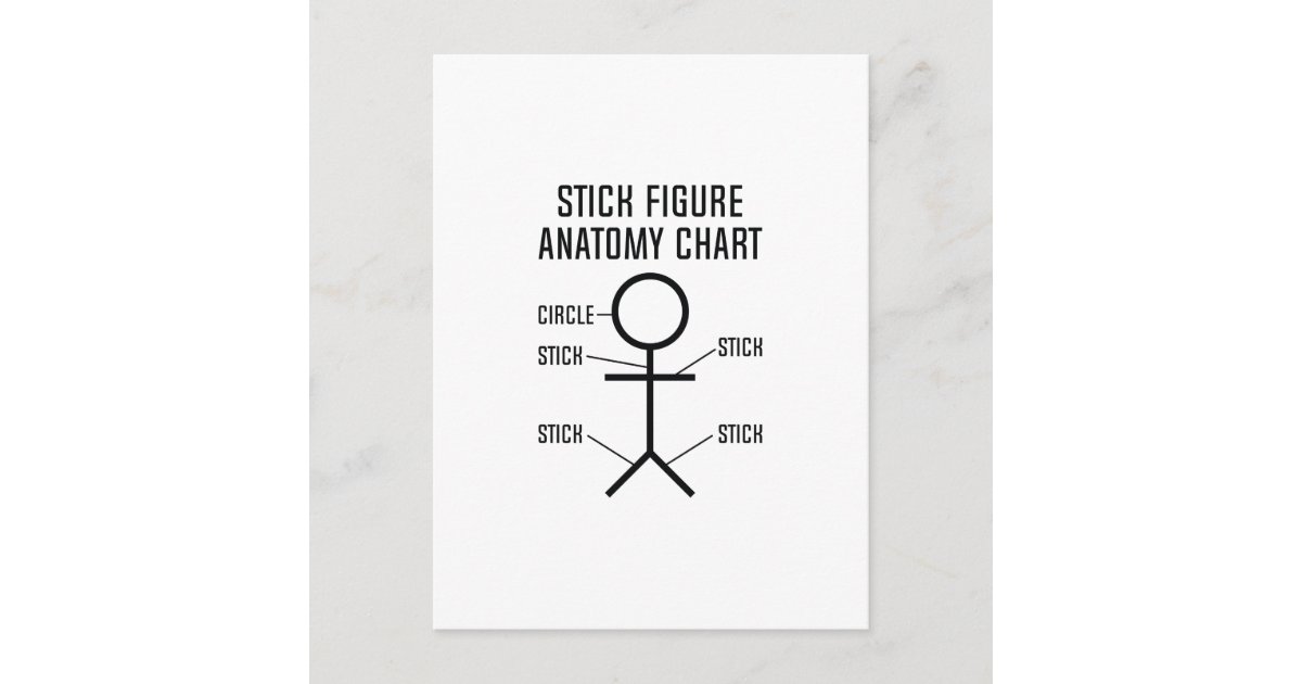 Stick Figure Anatomy Chart Postcard | Zazzle