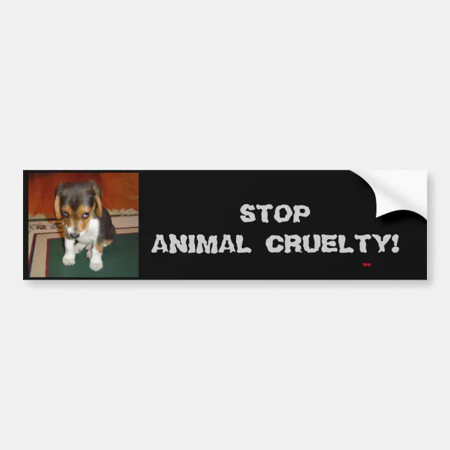 STOP ANIMAL CRUELTY! Bumper sticker | Zazzle