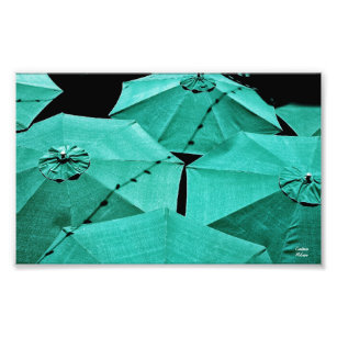 Umbrella Posters & Photo Prints | Zazzle AU