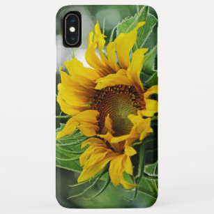 Sunflower iPhone Cases & Covers | Zazzle.com.au