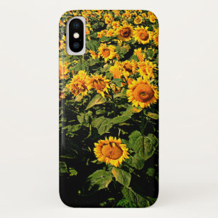 Sunflower iPhone Cases & Covers | Zazzle.com.au