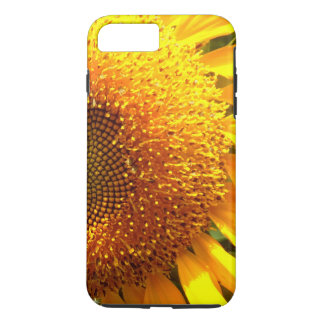 Sunflower iPhone SE, 6s, 6s Plus, 6, 6 Plus, 5s, & 5c Cases & Covers | Zazzle.com.au
