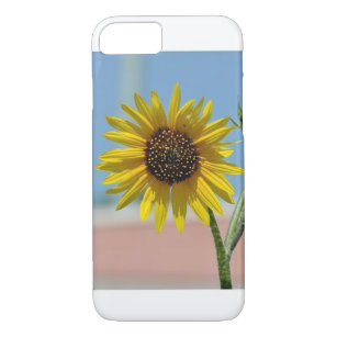 Sunflower iPhone Cases & Covers | Zazzle.com.au