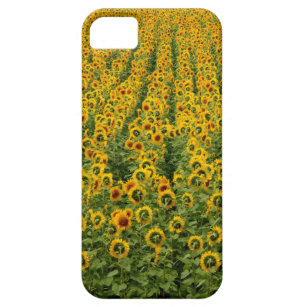 Sunflower iPhone Cases & Covers | Zazzle.com.au