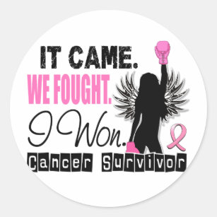 Survived Breast Cancer Stickers | Zazzle AU