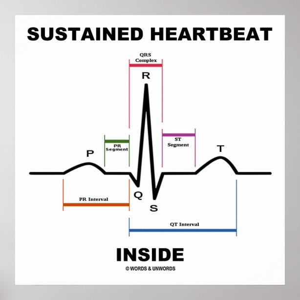 Ekg Posters & Photo Prints | Zazzle AU