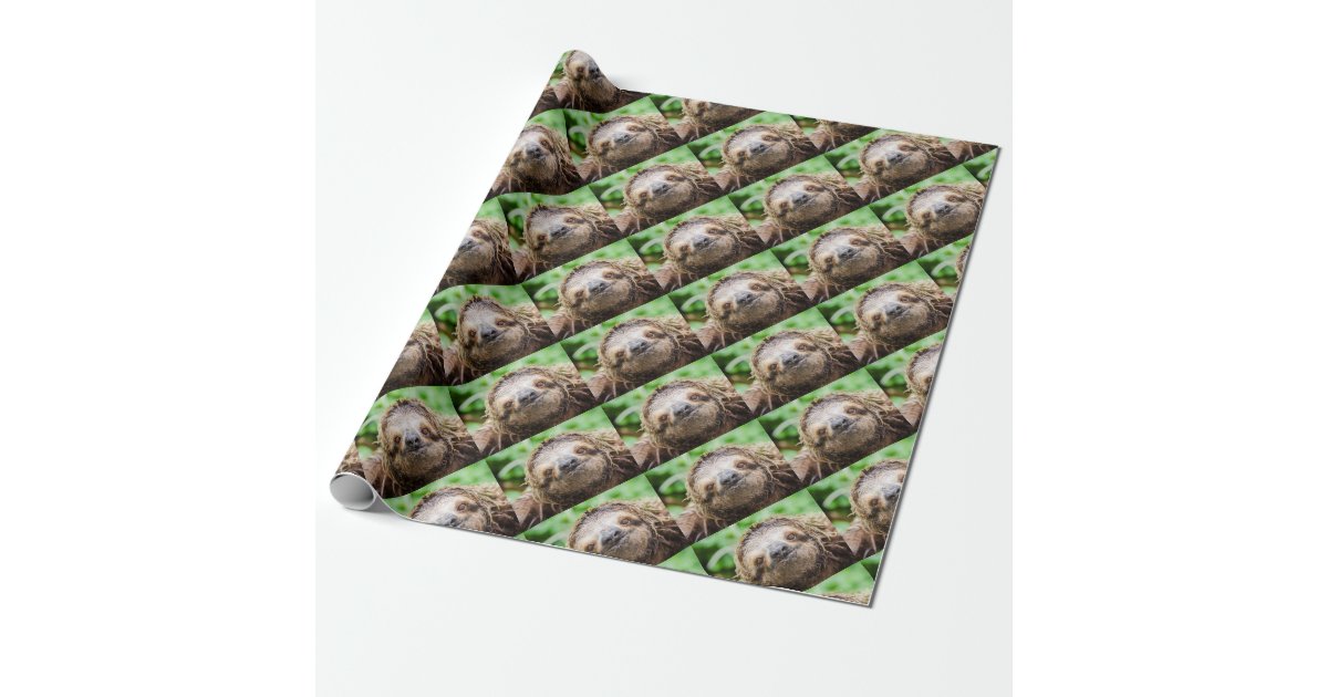 Sweet Sloth Wrapping Paper | Zazzle