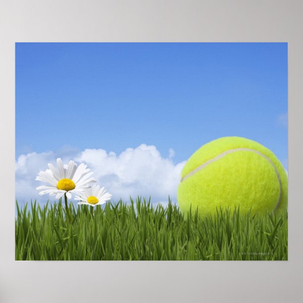 Tennis Posters & Photo Prints | Zazzle AU