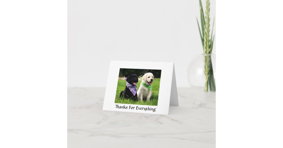 Thanks Labrador Retriever Puppies Greeting Card | Zazzle