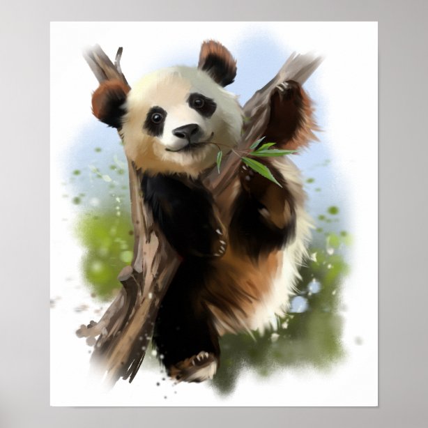 Panda Posters & Photo Prints | Zazzle AU