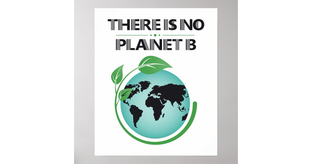 There Is No Planet B Environmental Awareness Poster | Zazzle