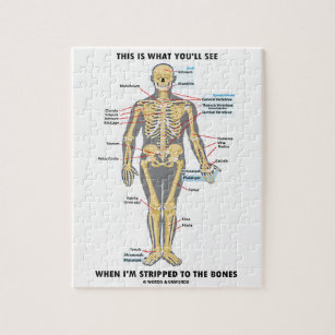 Human Skeleton Jigsaw Puzzles | Zazzle.com.au