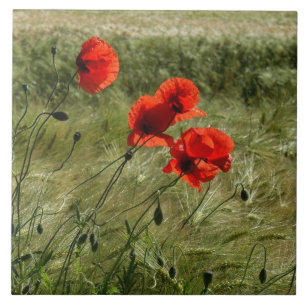 Poppy Decorative Ceramic Tiles | Zazzle.com.au
