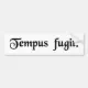 Time flies. bumper sticker | Zazzle