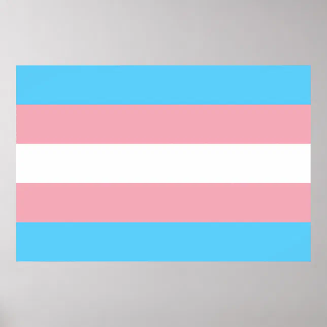 Transgender flag trans pride LGBT symbol gay homos Poster | Zazzle