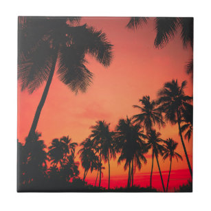 Palm Tree Decorative Ceramic Tiles | Zazzle.com.au