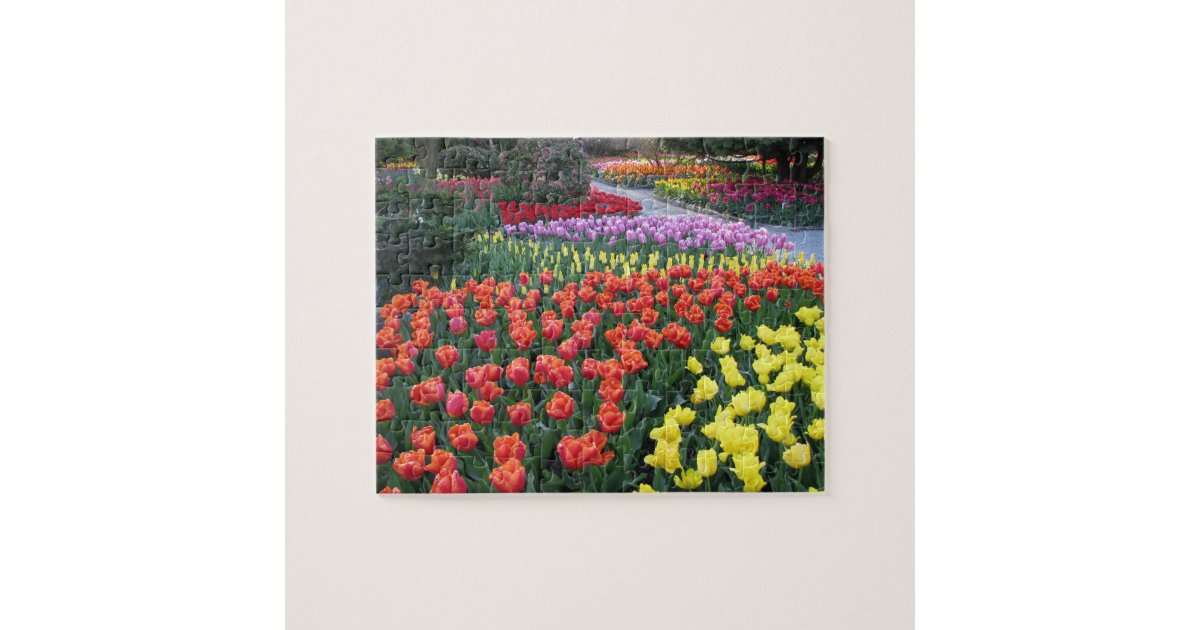 Tulip Gardens Jigsaw Puzzle | Zazzle