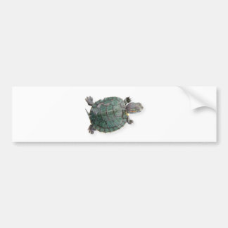 Turtle Stickers | Zazzle.com.au