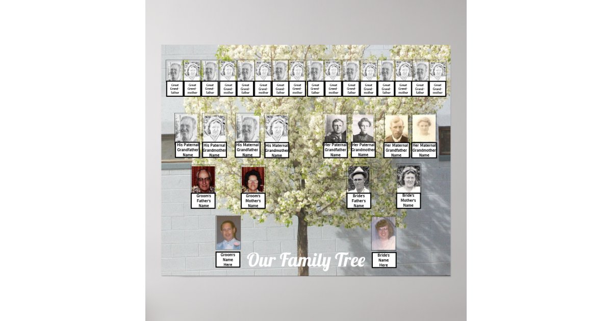 Two Family Trees Blossoms Photo | Name Poster | Zazzle