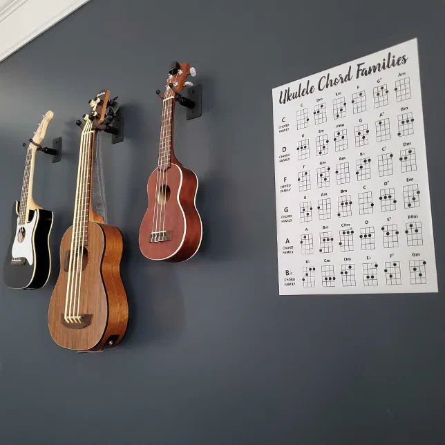 Ukulele Chord Families Chord Chart Diagram Poster | Zazzle
