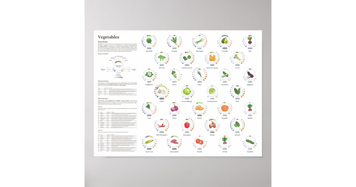 Vegetables - Nutritional values - Infographic Poster | Zazzle