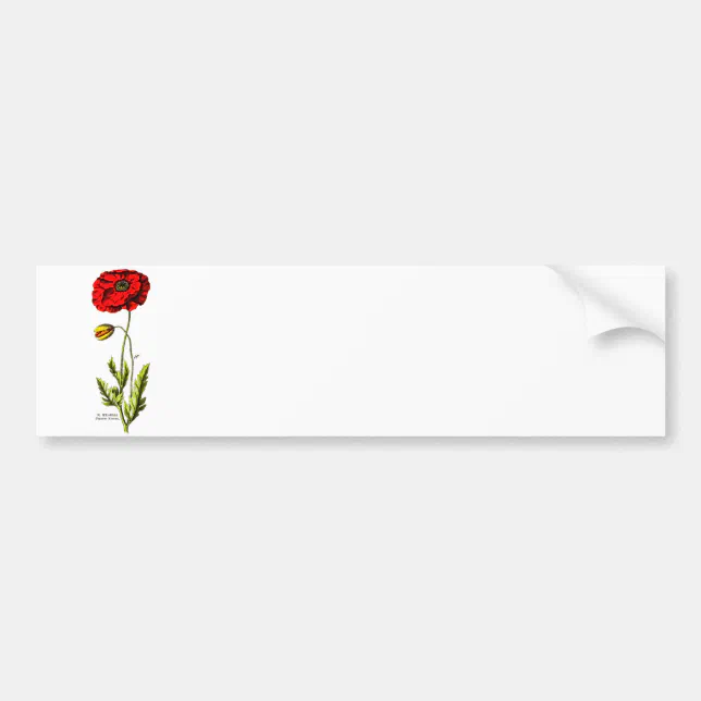 Vintage 1800s Red Poppy Wild Flower Floral Opium Bumper Sticker | Zazzle