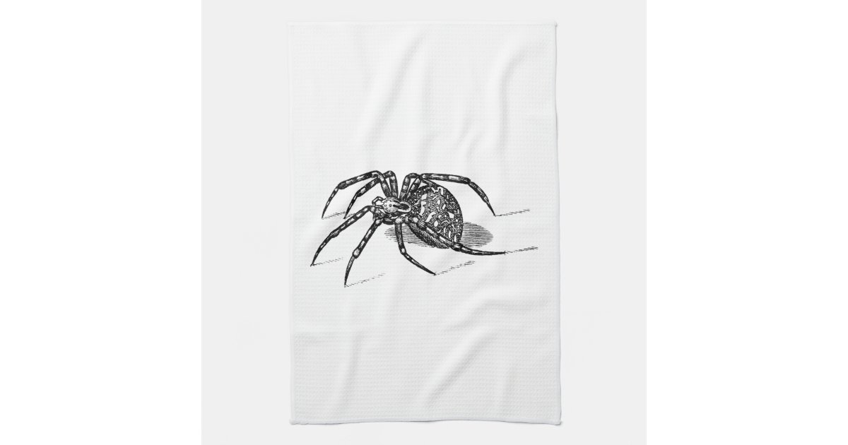 Vintage 1800s Spider Illustration Spiders Template Tea Towel | Zazzle