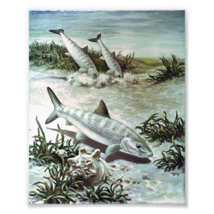Underwater Scene Posters & Photo Prints | Zazzle AU