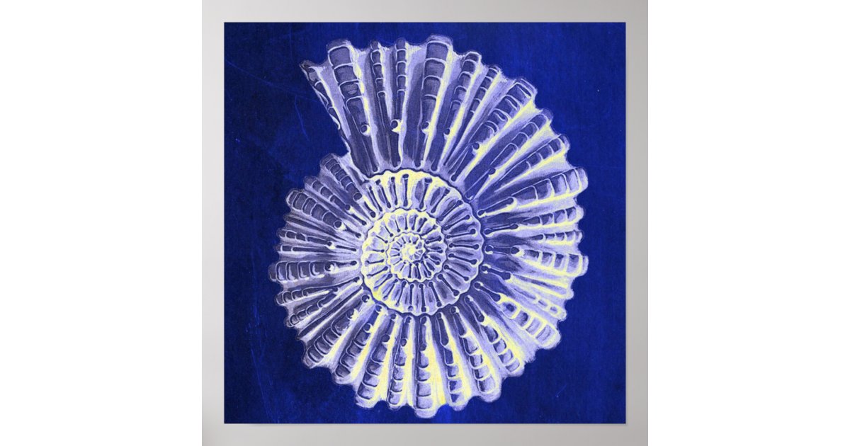 vintage botanical Coastal Blue White seashell Poster | Zazzle