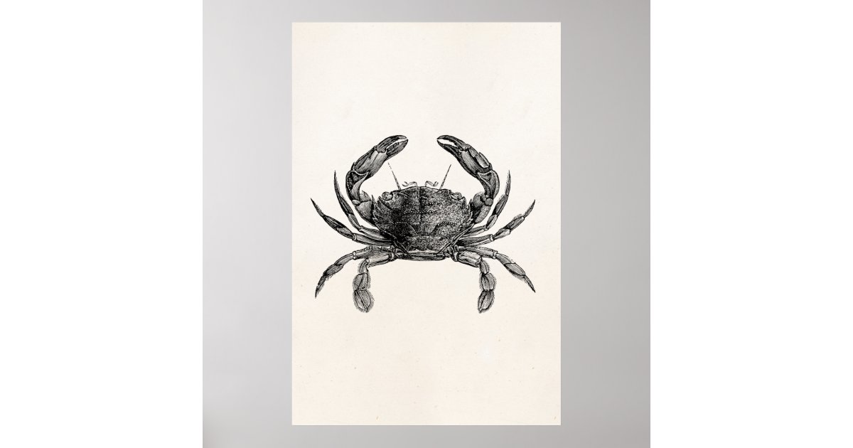 Vintage Crab Antique Crabs Personalised Template Poster | Zazzle