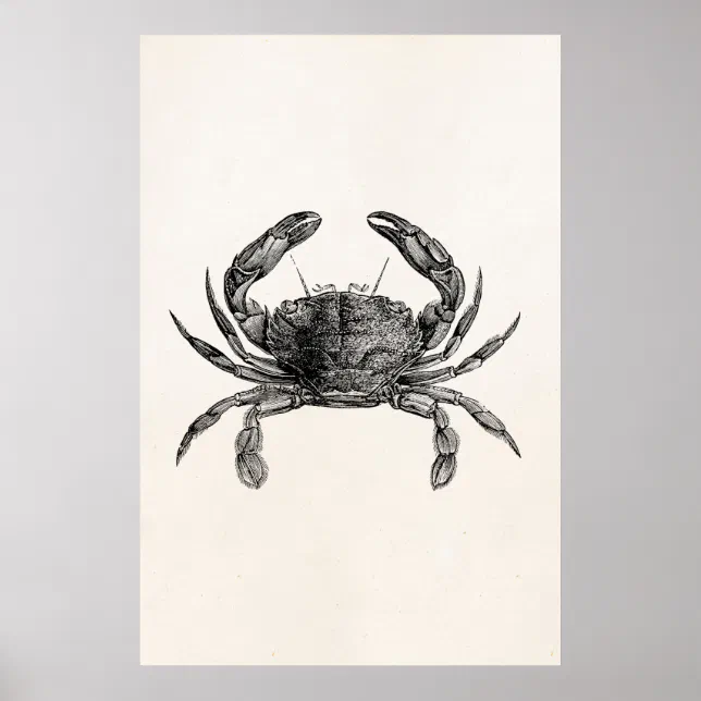 Vintage Crab Antique Crabs Personalised Template Poster | Zazzle