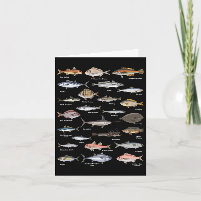 Vintage Fish Identification Chart Fishing Card | Zazzle