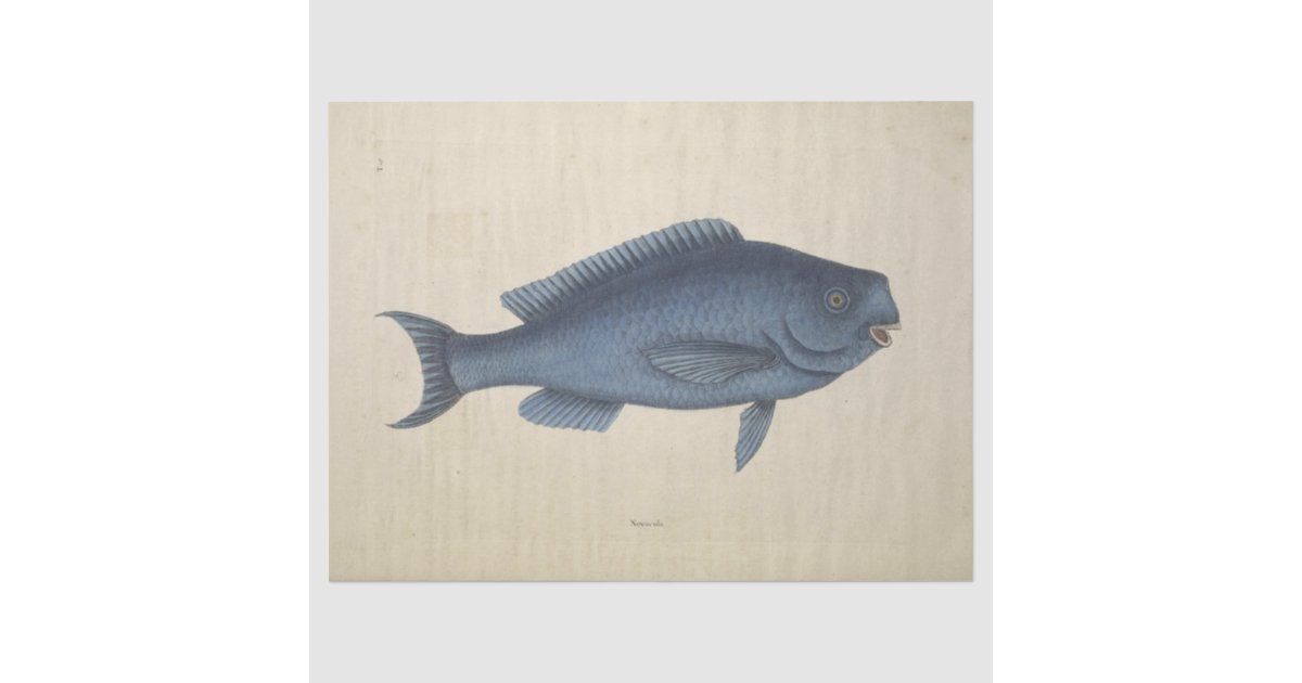 Vintage Happy Blue Fish Ephemera Decoupage Tissue Paper | Zazzle