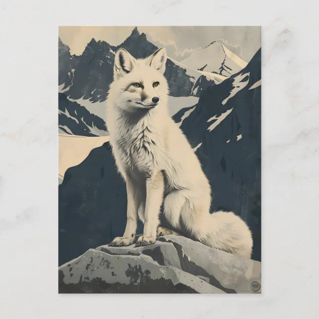 Vintage Illustration of the Arctic Fox Postcard | Zazzle