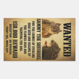 Funny Squirrel Stickers | Zazzle AU