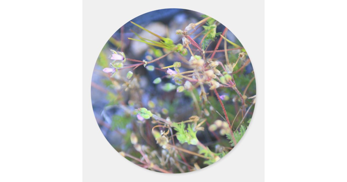 Weeds Classic Round Sticker | Zazzle