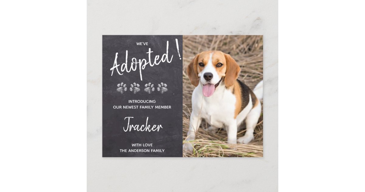We've Adopted Dog Rescue New Pet Announcement Postcard | Zazzle