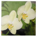 White Orchids on a green background Tile | Zazzle