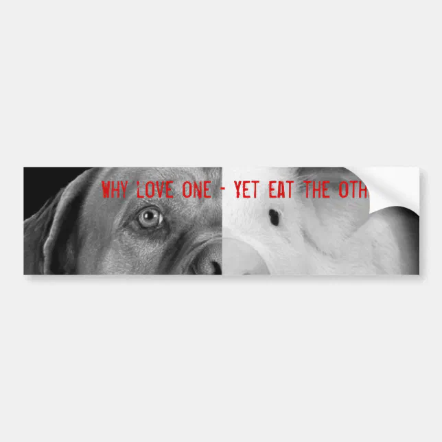 Why love one - Yet eat the other? Bumper Sticker | Zazzle